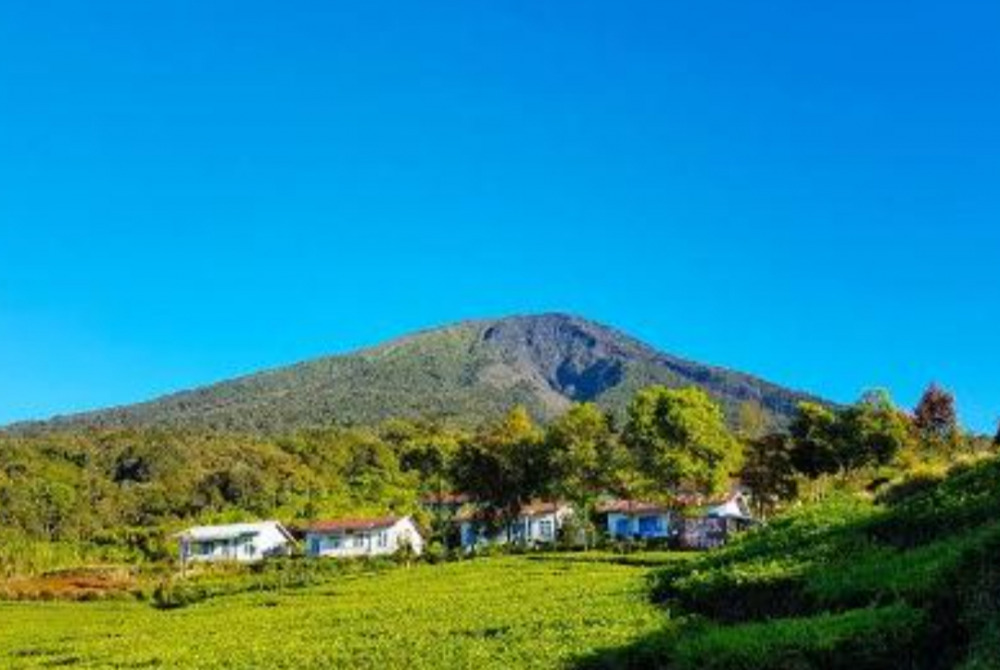BPBD Pagaralam Siapkan Jalur Evakuasi Erupsi Gunung Api Dempo - Time Sulsel